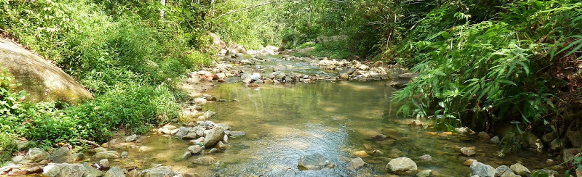 Gunung Pulai Lower Waterfall, Johor, Malaysia - 21 Reviews, Map | AllTrails
