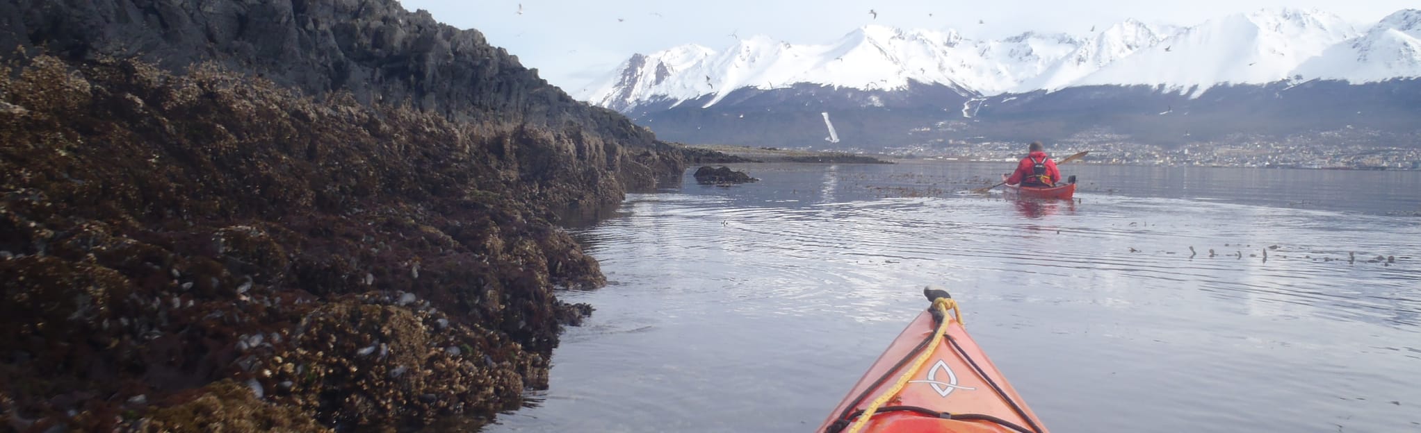 Paseo Kayak Lago Fagnano - Tierra Del Fuego, Argentina | AllTrails