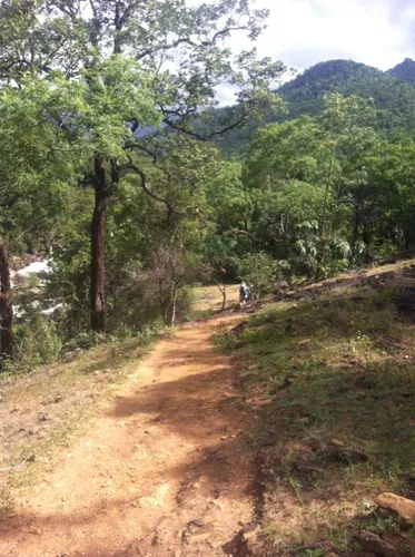 2023 Best River Trails in Chinnar Wildlife Sanctuary | AllTrails