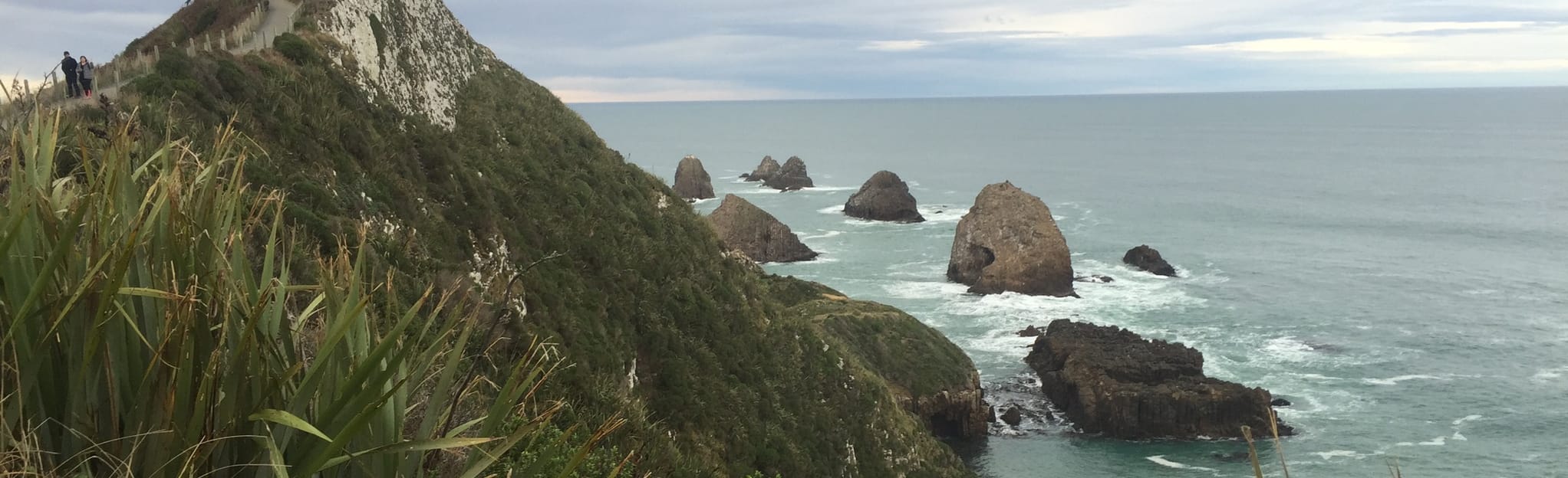 Nugget Point Lighthouse Walk: 102 Reviews, Map - Otago, New Zealand ...