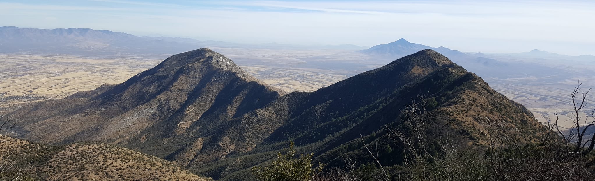 Miller Peak via Crest Trail, Arizona - 254 Reviews, Map | AllTrails