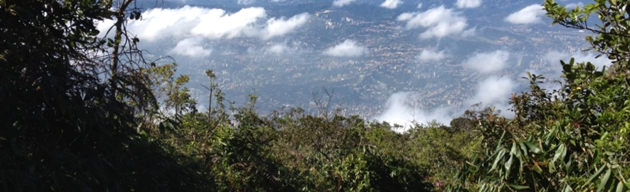 El Banquito, Pico Occidental y Lagunazo - Miranda, Venezuela | AllTrails