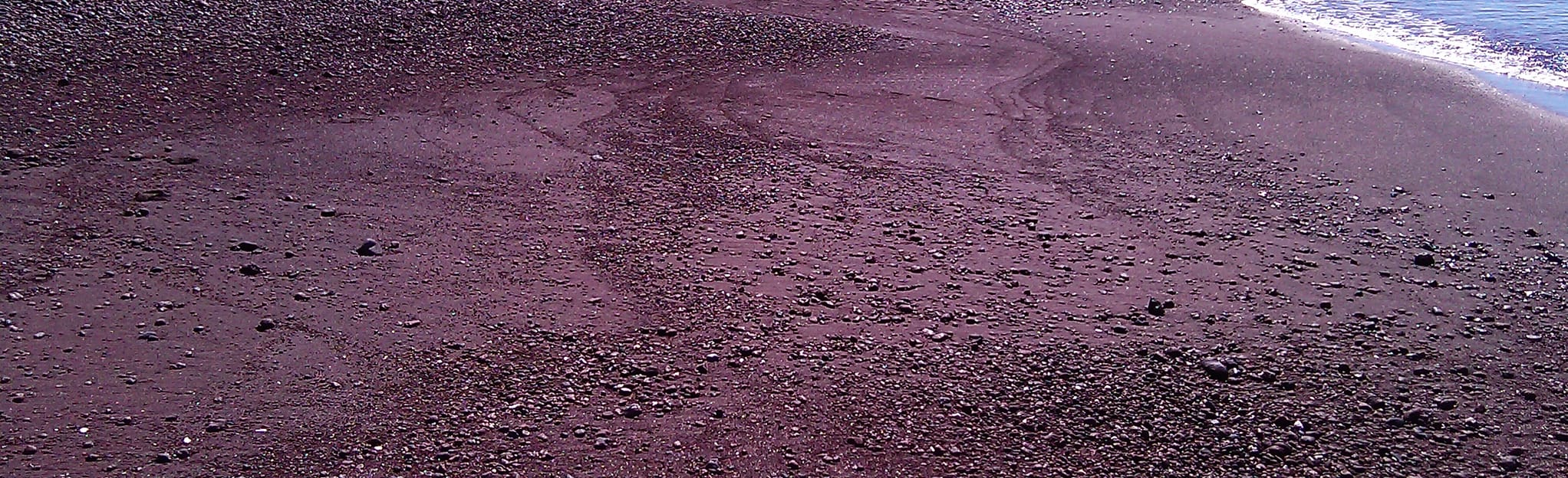 Rabida Island, Galápagos, Ecuador - 9 Reviews, Map | AllTrails