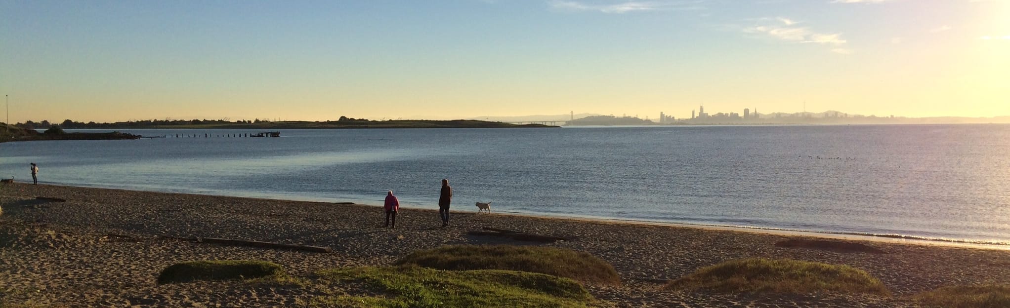 Albany Bulb, California - 324 Reviews, Map | AllTrails