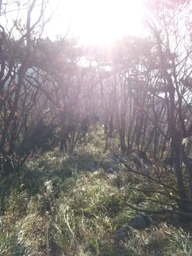 Best Trails, Walks, and Paths in Ongjin-gun | AllTrails