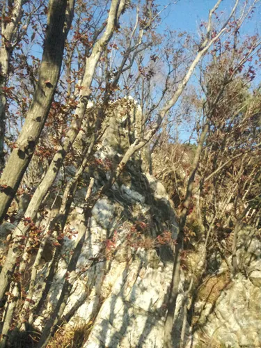 Best Trails, Walks, and Paths in Ongjin-gun | AllTrails