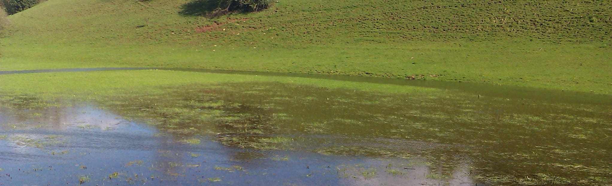 The Wysis Way Stage 4: Bisley to Kemble, Gloucestershire, England - 3 ...