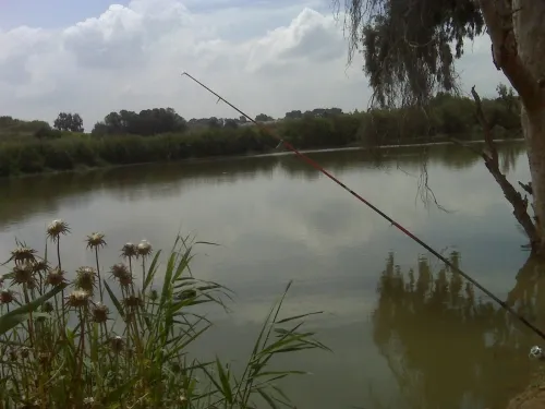 Best Hikes and Trails in Poleg Gate Nature Reserve | AllTrails