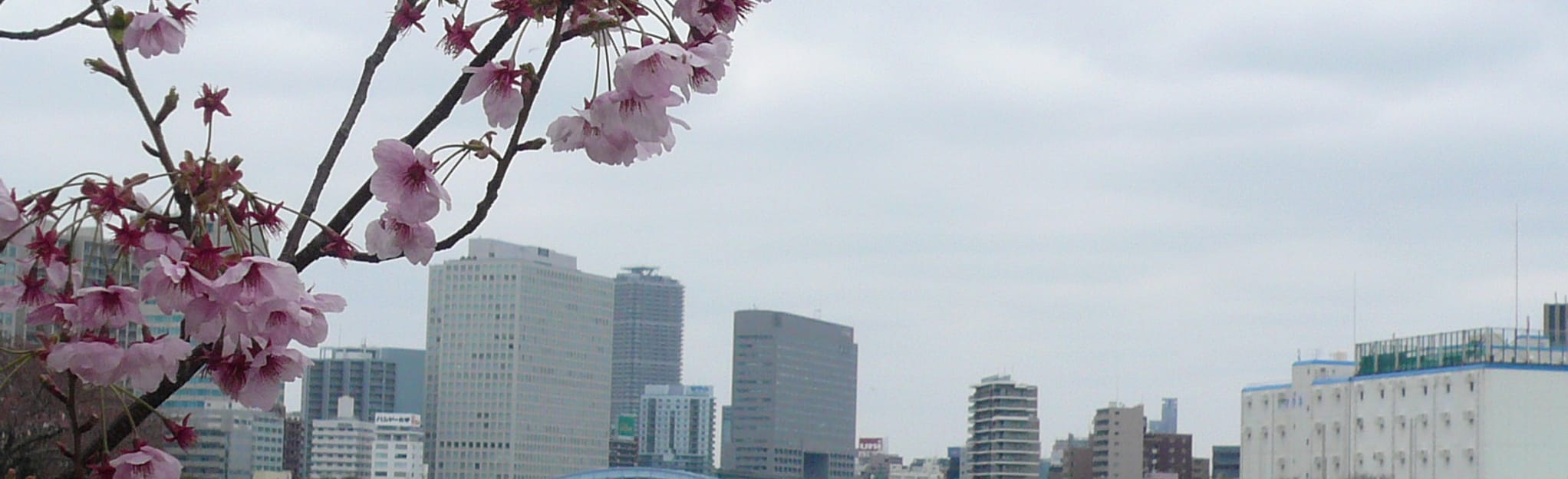Sumida River: Toyosu, Tokyo, Japan - Map, Guide | AllTrails