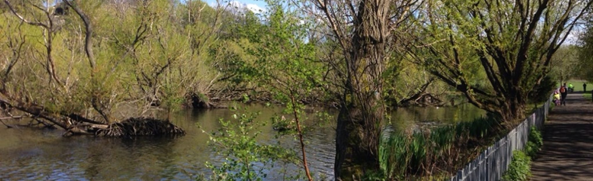 Lochend Park Walk, Edinburgh, Scotland - 23 Reviews, Map | AllTrails