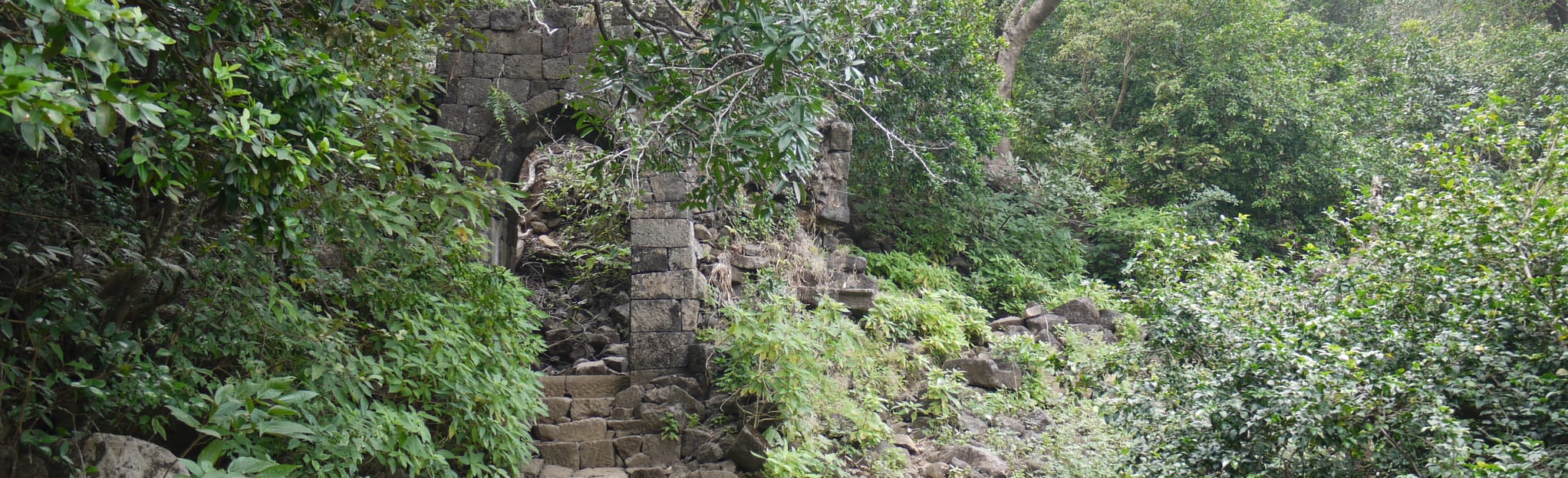 Siddhagad Fort, Maharashtra, India - Map, Guide | AllTrails