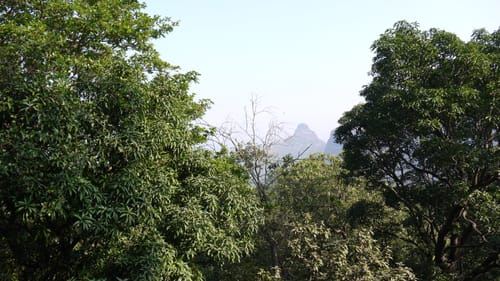 Best 10 Hikes and Trails in Bhimashankar Wildlife Sanctuary | AllTrails