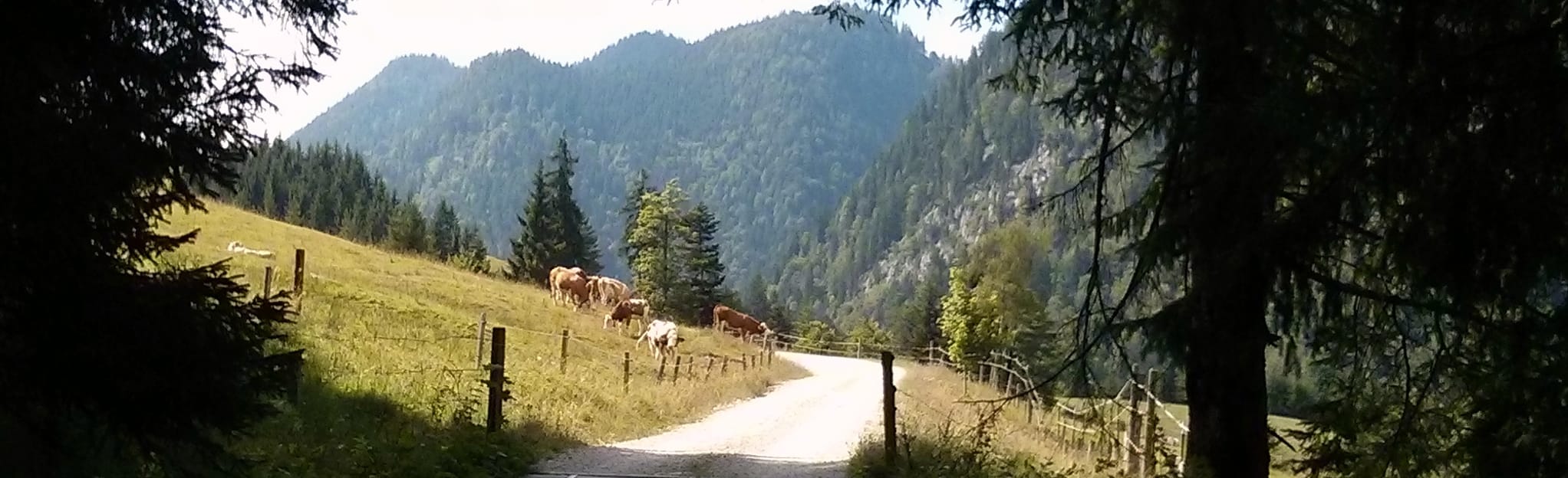 Gufferthütte vom Kaiserhaus (Brandenberger Tal), Tyrol, Austria - Map ...