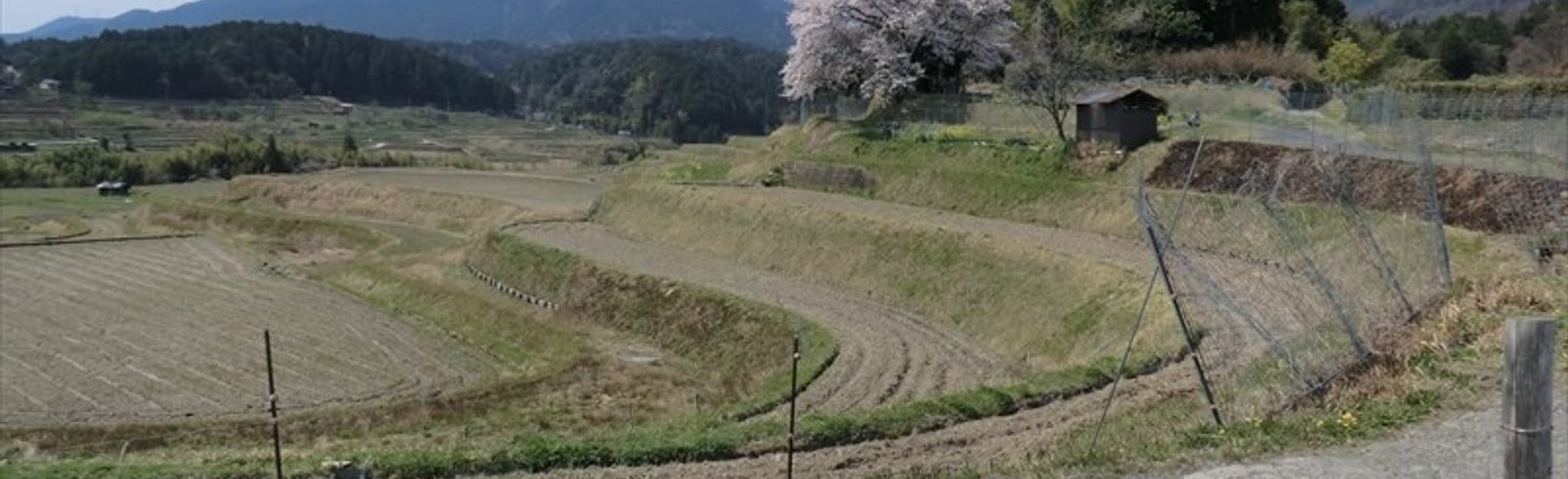 Kataka Promenade, Shiga, Japan - Map, Guide | AllTrails