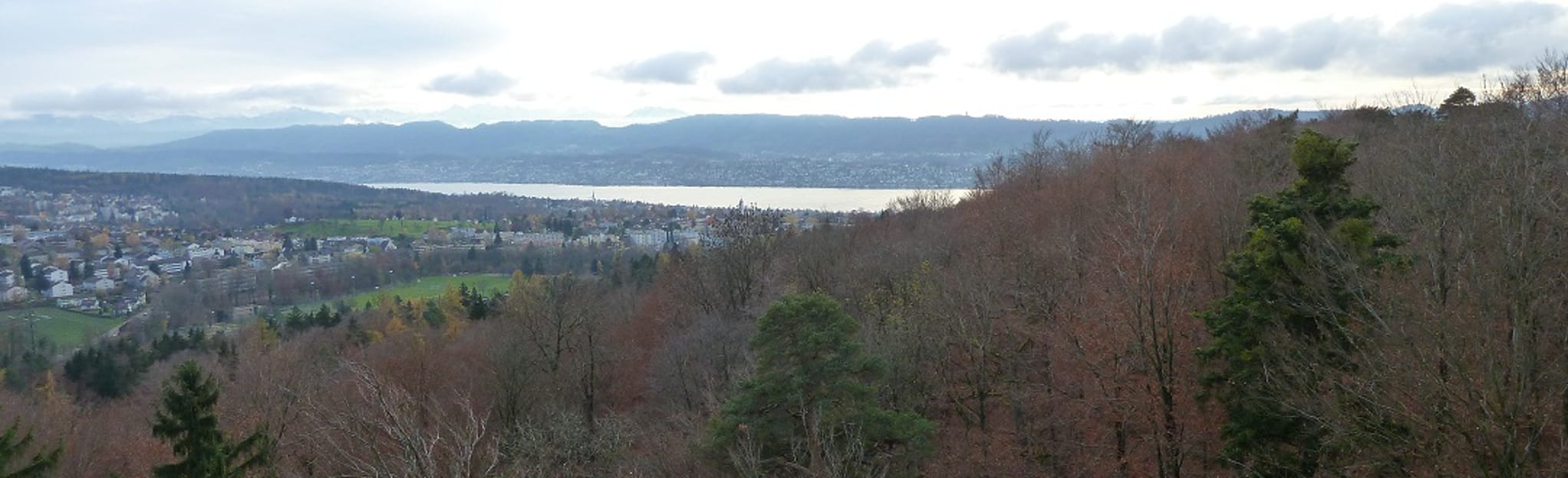 AllTrails | Adlisberg - Degenried - Loorenkopf Lookout Tower: 15 ...