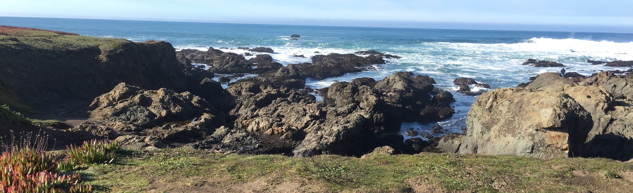 Laguna Point Boardwalk Loop: 328 Reviews, Map - California | AllTrails