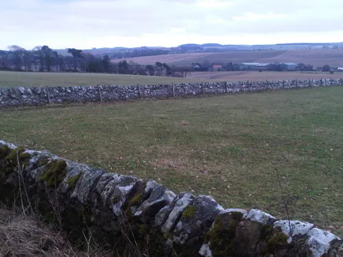 10 Best Trails, Walks, and Paths in Cupar | AllTrails