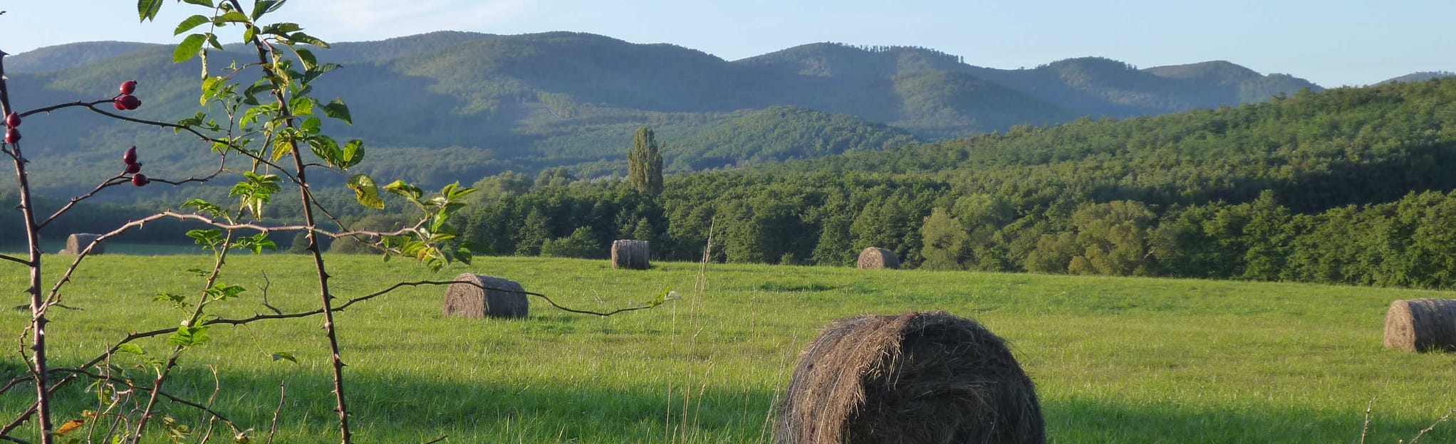 Ungarischer Nationaler Blauer Wanderweg (OKT): Etappe 17: Nagymaros ...