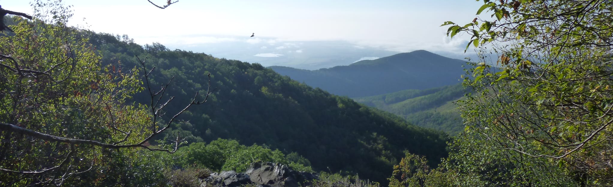 Mátrafüred – Mátraalmás: 91 Photos - Heves, Hungary | AllTrails