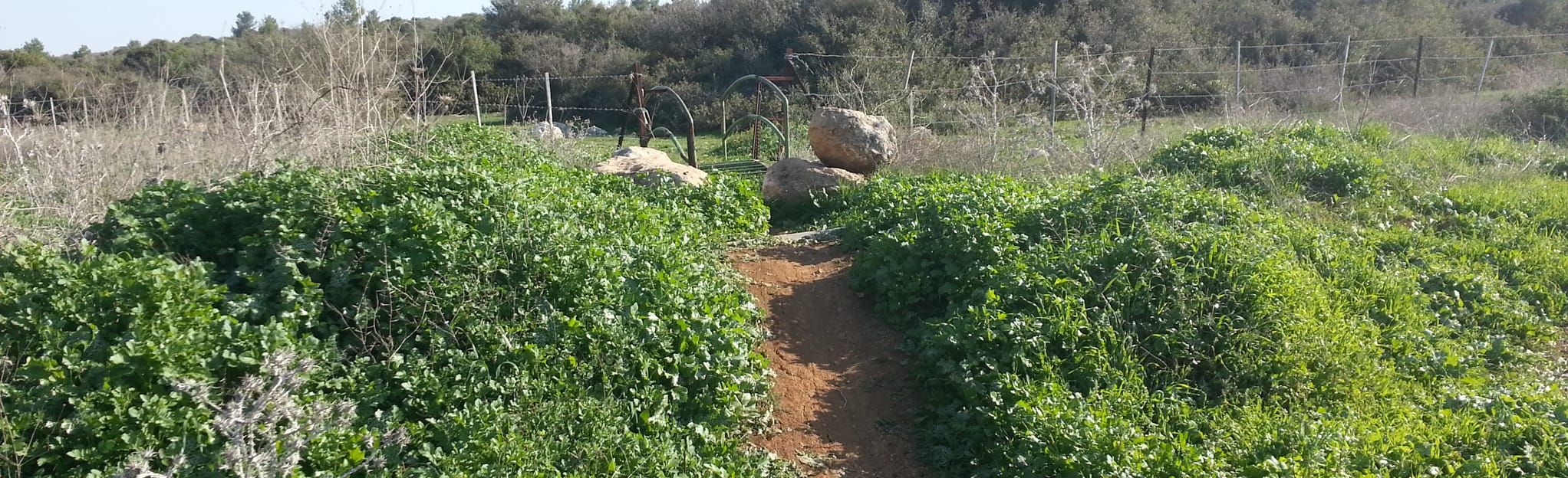 Sdot Micha, Britannia Park and Beit Nir via Tel Zafit, Jerusalem ...