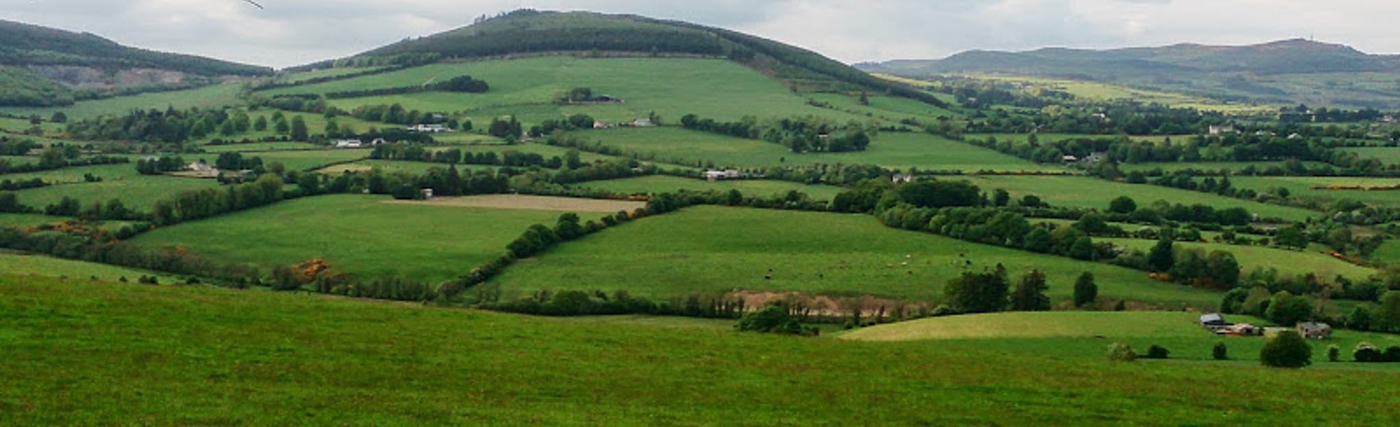 Castlegale Loop: 154 foto's - County Limerick, Ierland | Wandelen ...