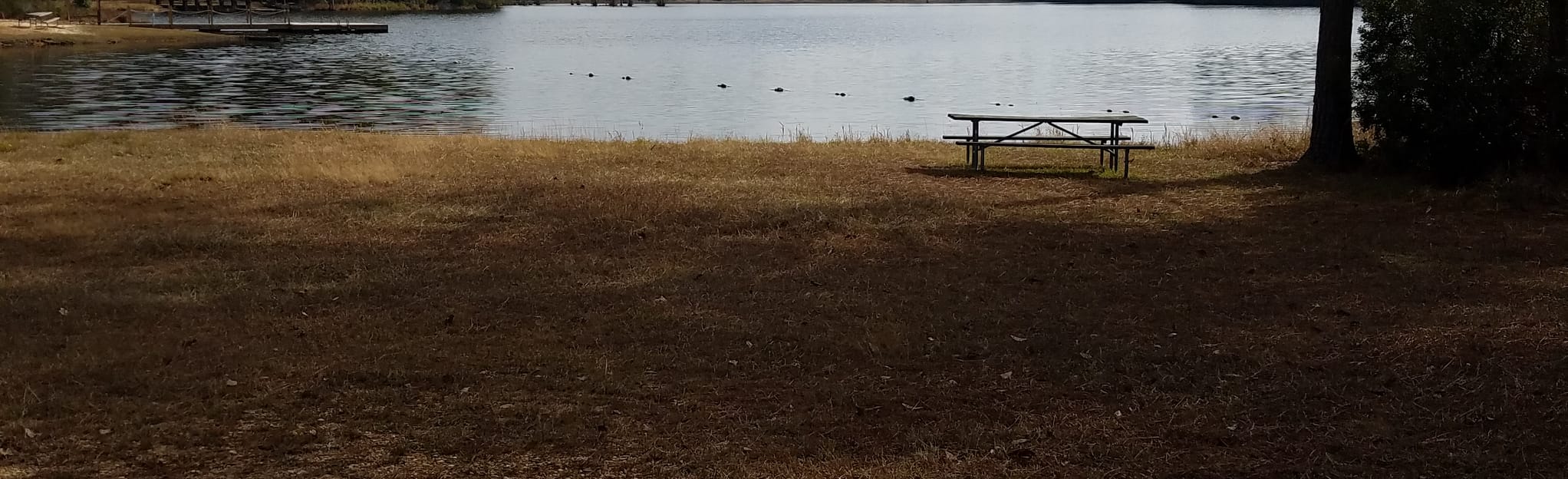 CCC Trail to Little River Lake [CLOSED], Alabama - 5 Reviews, Map ...