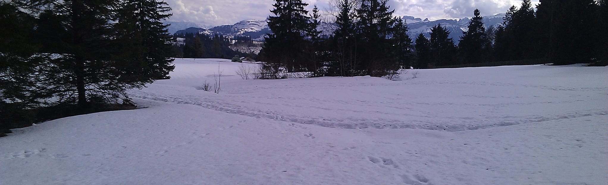 AllTrails | Gäbrisseeli - Oberer Gäbris: 3 Reviews, Map - Appenzell ...