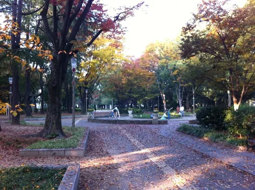 Best Hikes and Trails in Utsubo Park | AllTrails