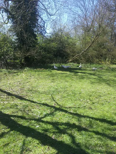 Best Hikes and Trails in Saxlingham Playing Field | AllTrails