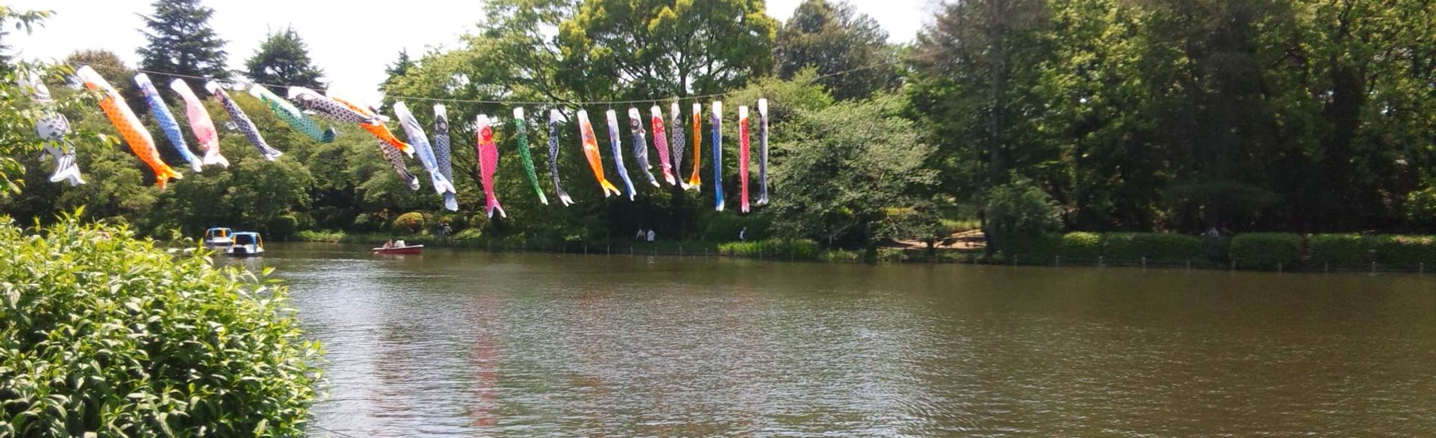 Zenpukuji Loop, Tokyo, Japan - Map, Guide | AllTrails