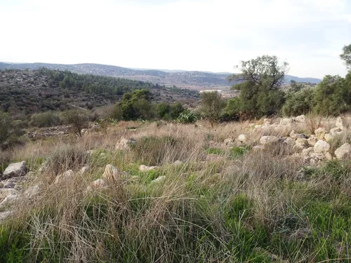 10 Best Hikes and Trails in Valley of Elah National Park | AllTrails