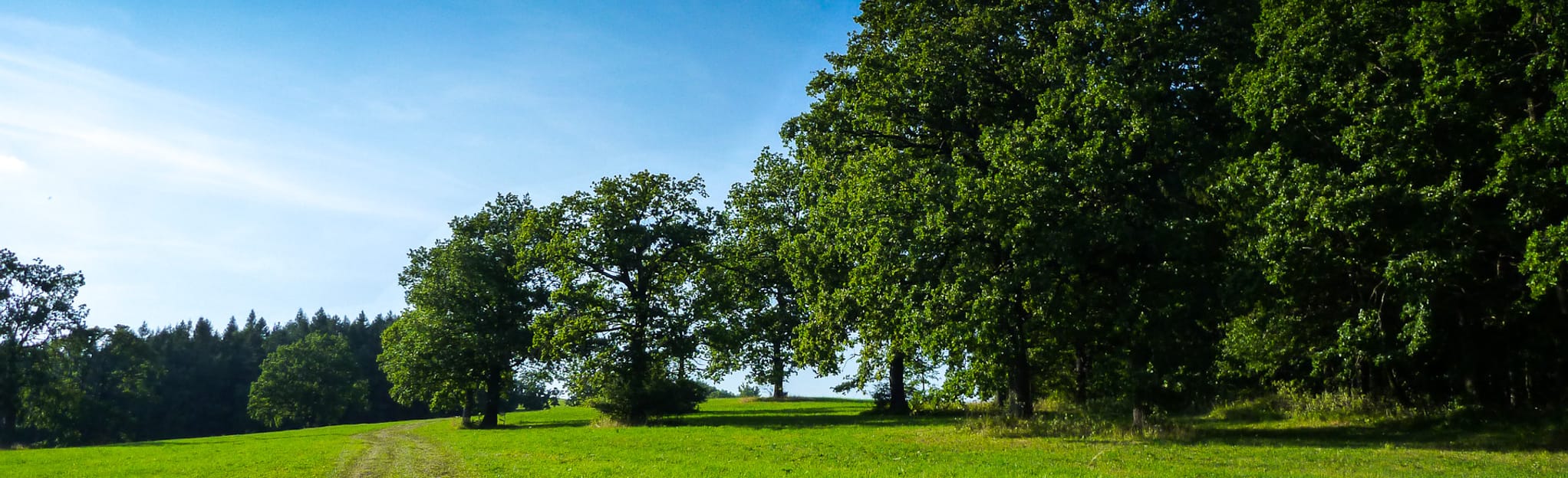 Velká Javořina - Pod Kykulou, Zlín, Czech Republic - 1 Reviews, Map ...