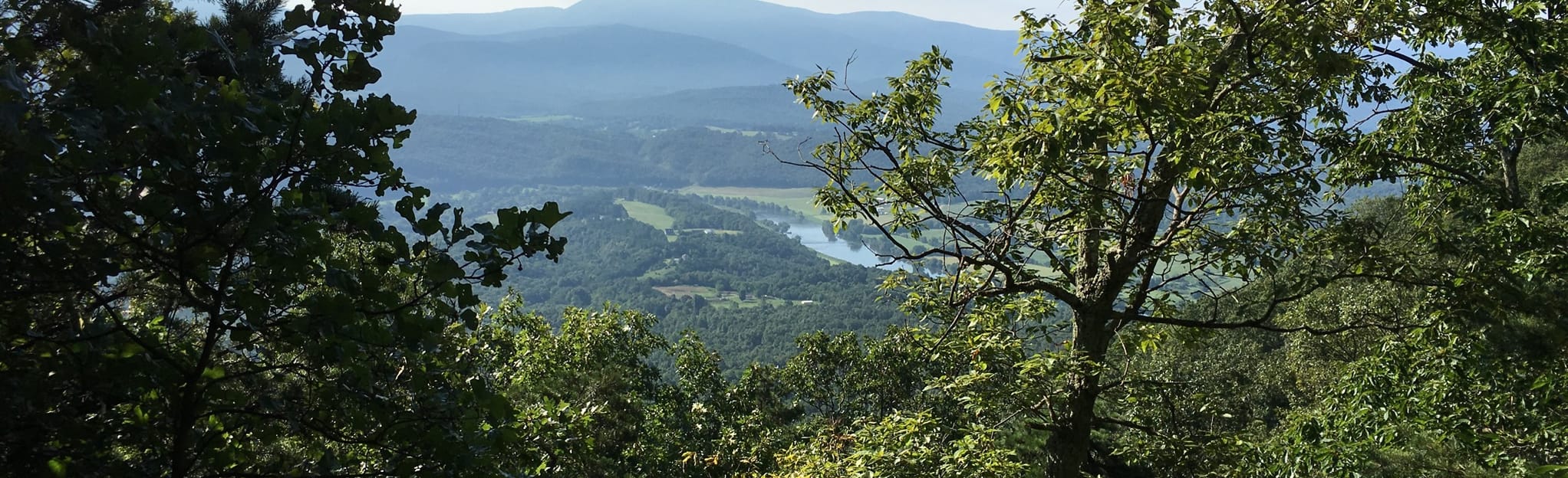 Tuscarora Trail: Out-and-Back from Panhandle Road: 92 Reviews, Map ...