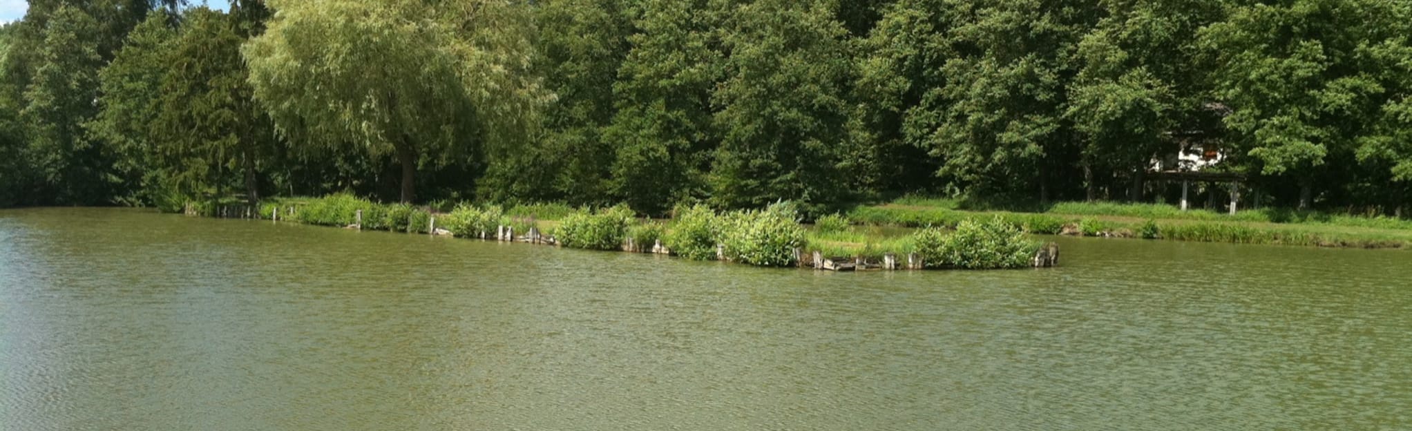 Diemeringen - Volksberg: 3 Reviews, Map - Bas-Rhin, France | AllTrails