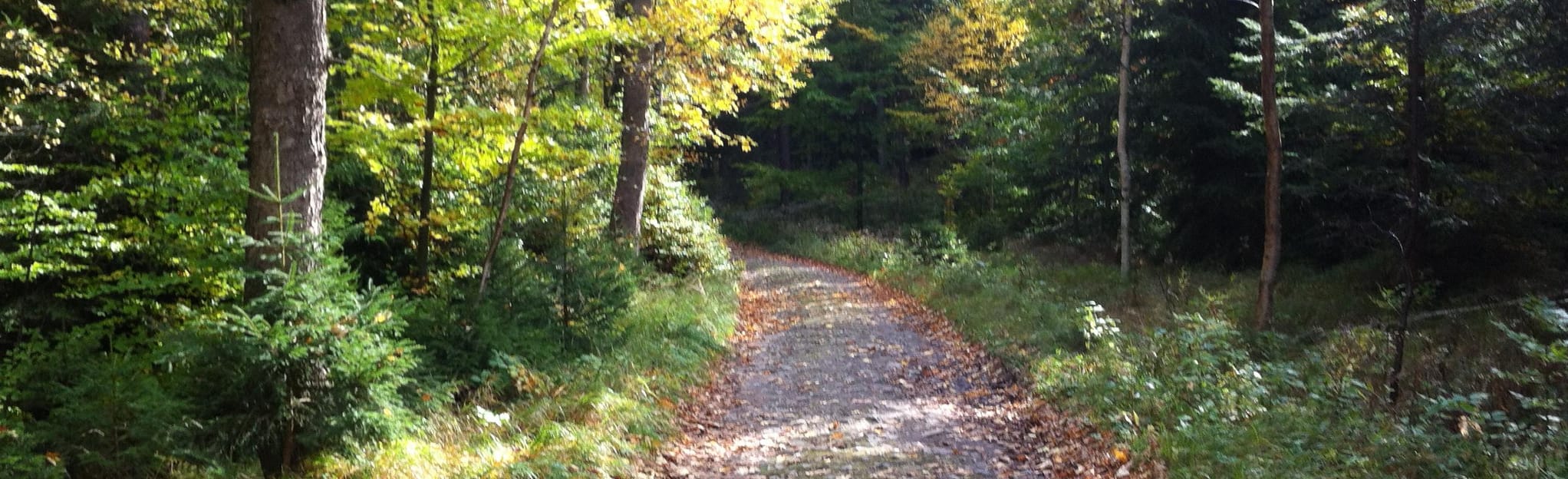 The Wall Bicycle Route: Radków - Ostra Góra: 0 Reviews, Map - Lower ...