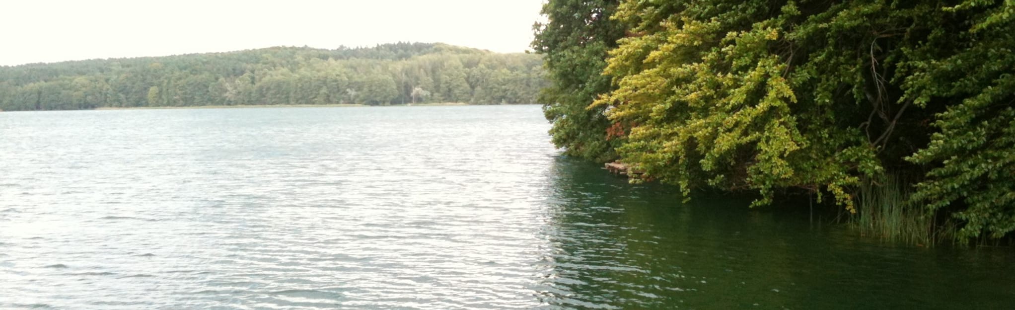 Ciecz Lake Loop, Lubusz, Poland - 8 Reviews, Map | AllTrails