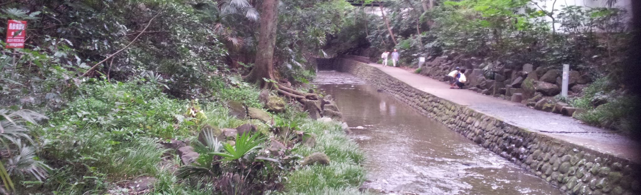 Todoroki Valley Trail: 13 Reviews, Map - Tokyo, Japan | AllTrails