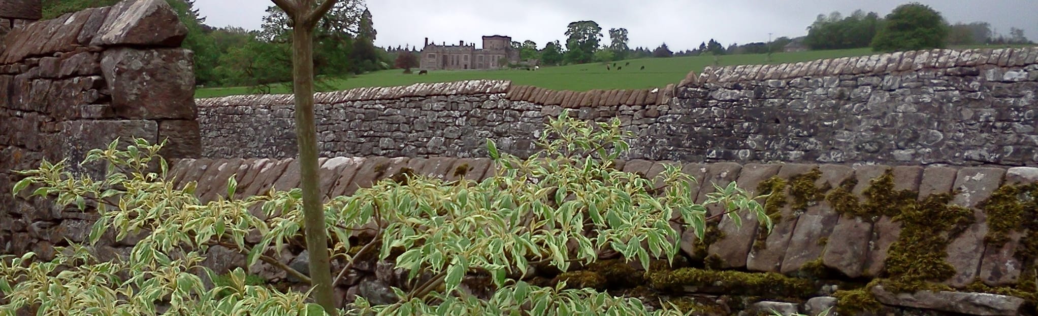 Greystoke Forest Loop, Cumbria, England - 4 Reviews, Map | AllTrails