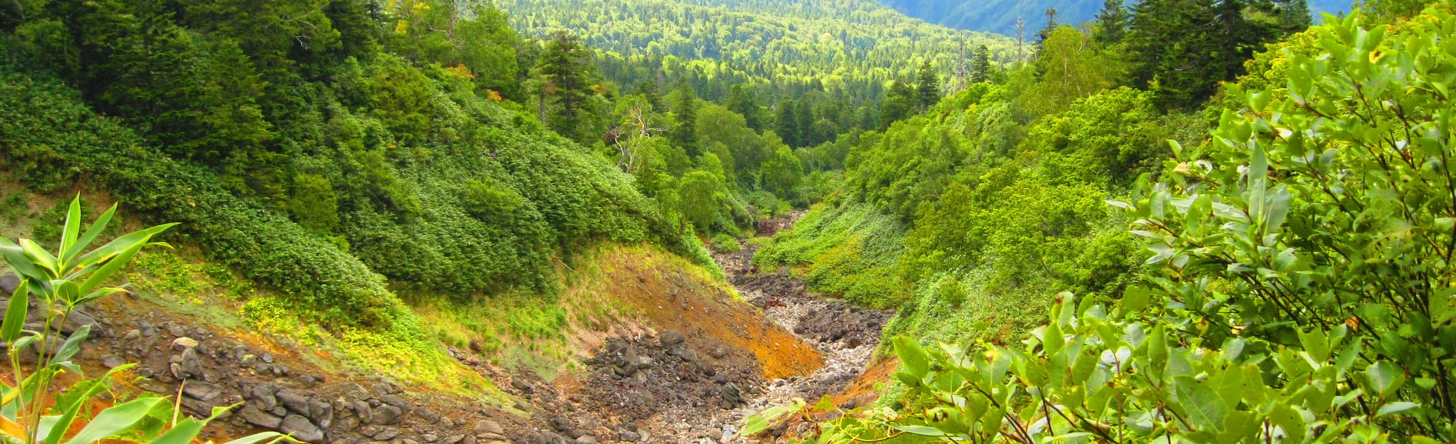 Mount Odake, Aomori, Japan - 16 Reviews, Map | AllTrails