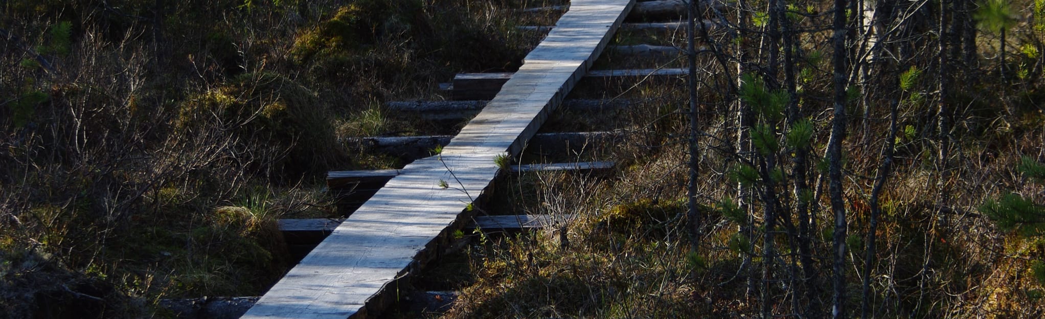 Niemisjärvi nature trail, Tavastia Proper, Finland - Map, Guide | AllTrails