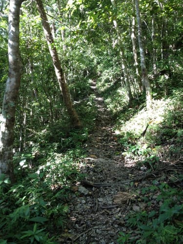 2023 Best Trails, Walks, and Paths in Calubian | AllTrails