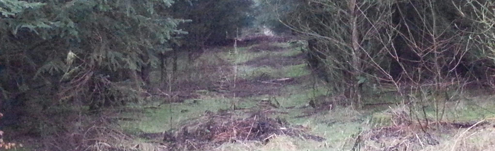 Aars Skov Cirkulær Gåtur, North Denmark, Denmark - 3 Reviews, Map ...