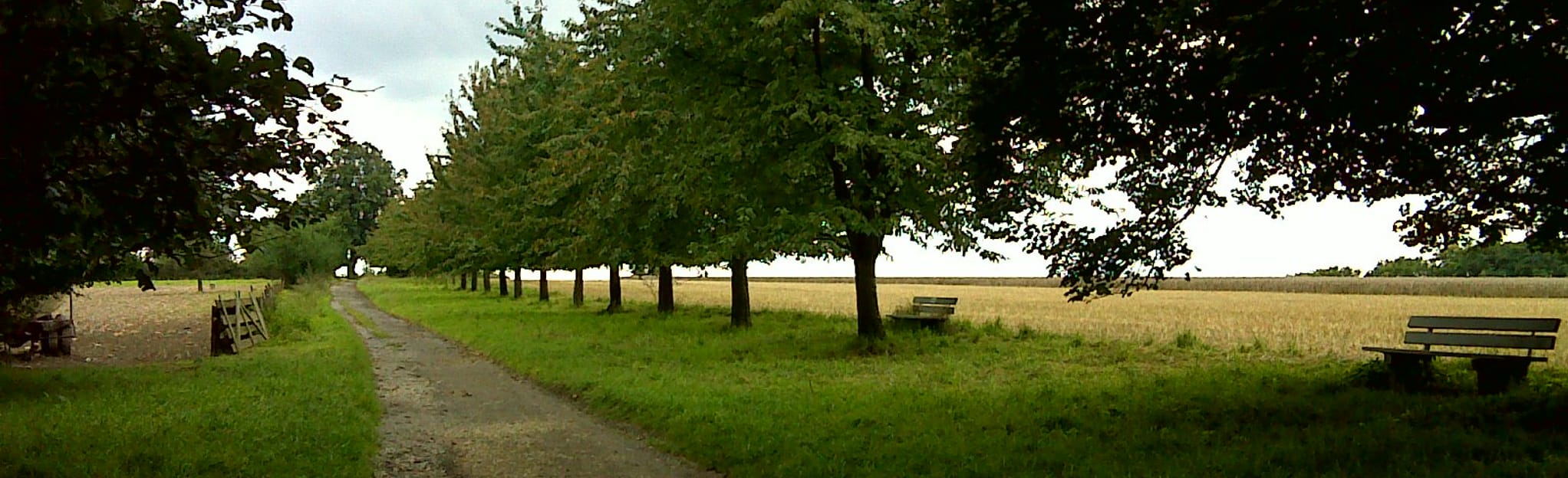 From Gaustadt to the Michelsberg Forest: 3 Reviews, Map - Bayern ...