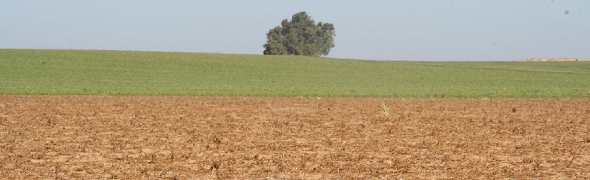 Ofakim to Zeelim Field Route | Map, Guide - Southern District HaDarom ...