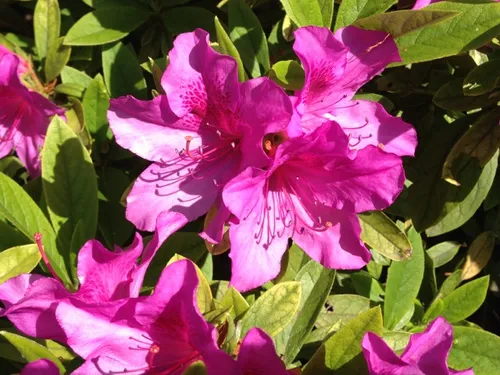 Best Hikes and Trails in Kinuta Park | AllTrails