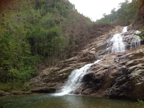 Best Forest Trails in Maran | AllTrails