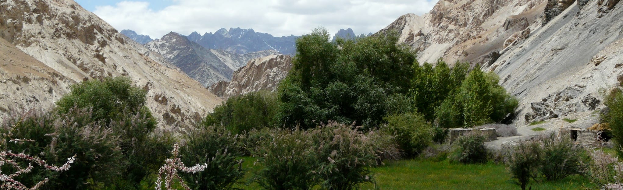 Markha Valley Trail: Skiu - Markha Section 2, Ladakh, India - 2 Reviews ...