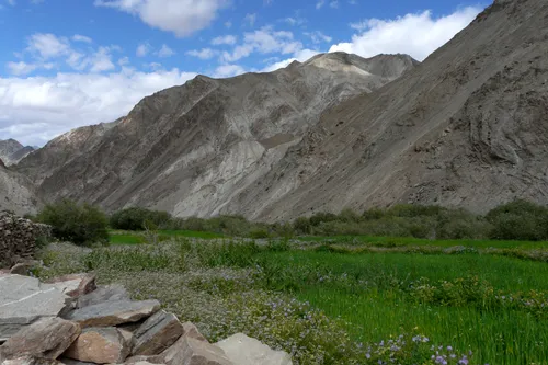 10 Best Forest Trails in Ladakh | AllTrails
