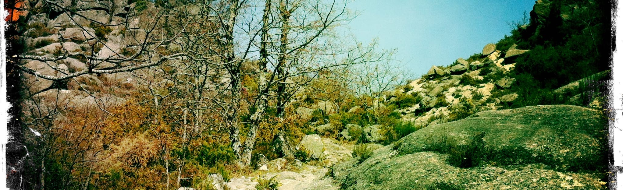 PR VI - Rio Laboreiro | Map, Guide - Viana do Castelo, Portugal | AllTrails