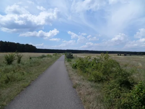 10 Best Bird Watching Trails in Müritz National Park | AllTrails